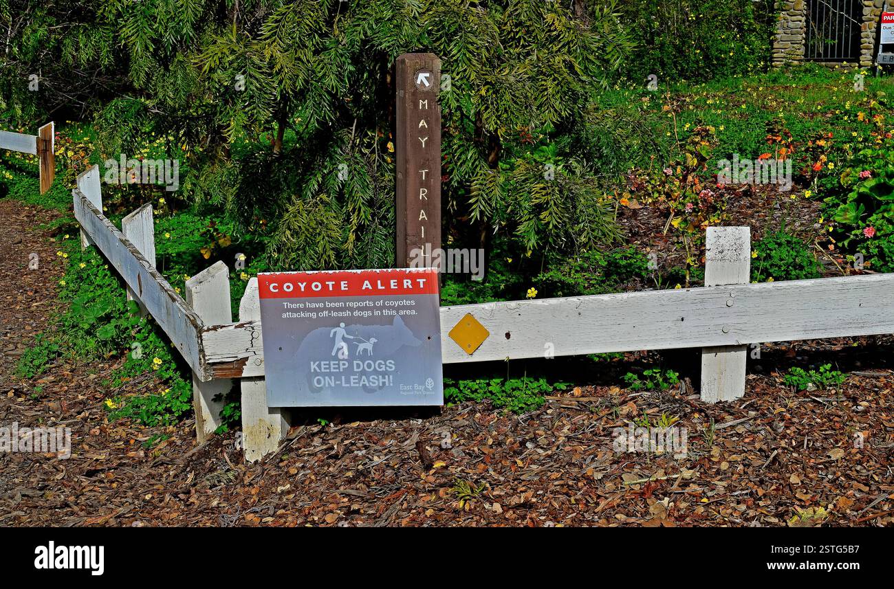 coyote alert, keep dogs on leash warning sign at trail entrance in Dry ...