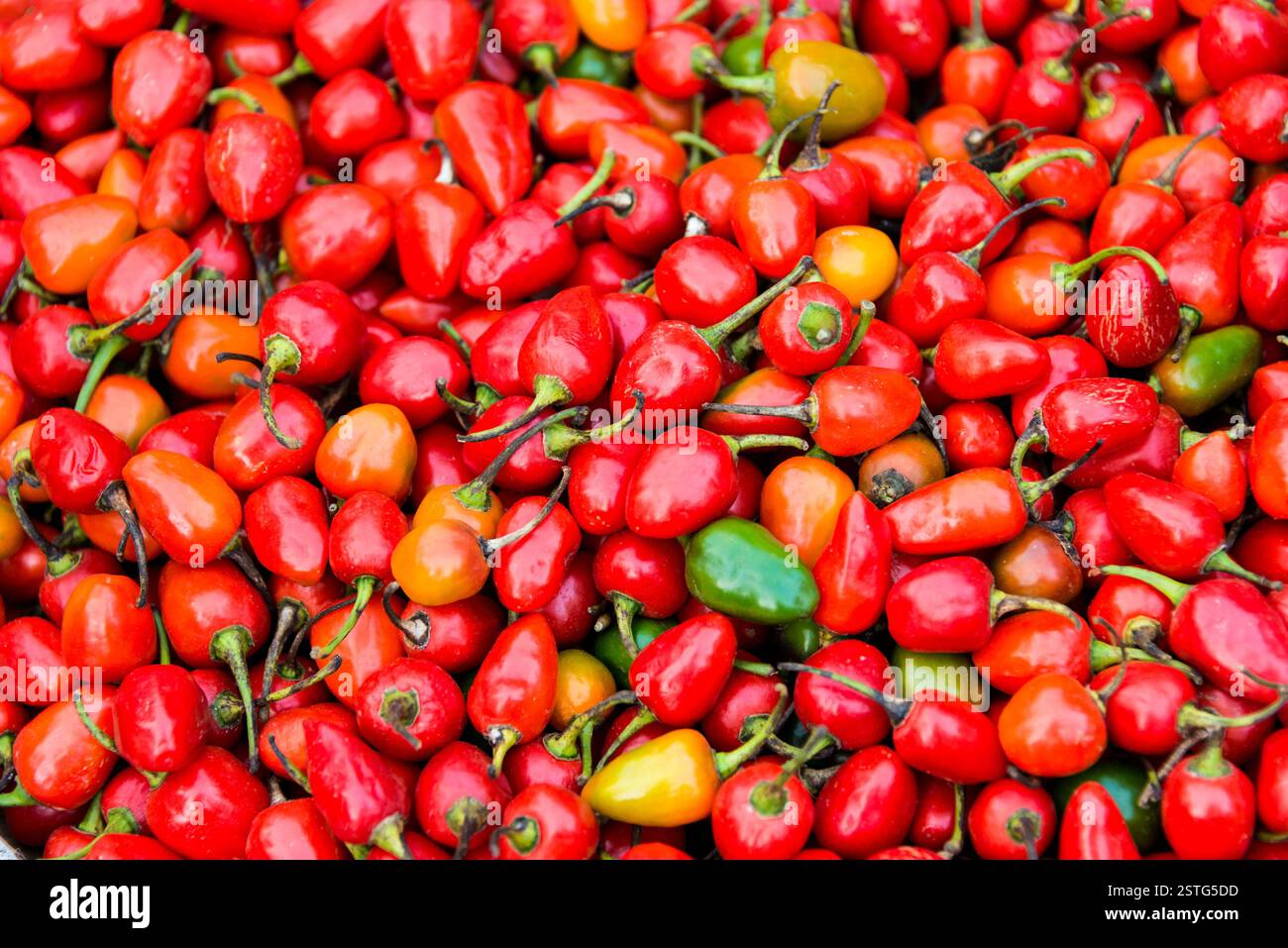 Round red chili hi-res stock photography and images - Alamy