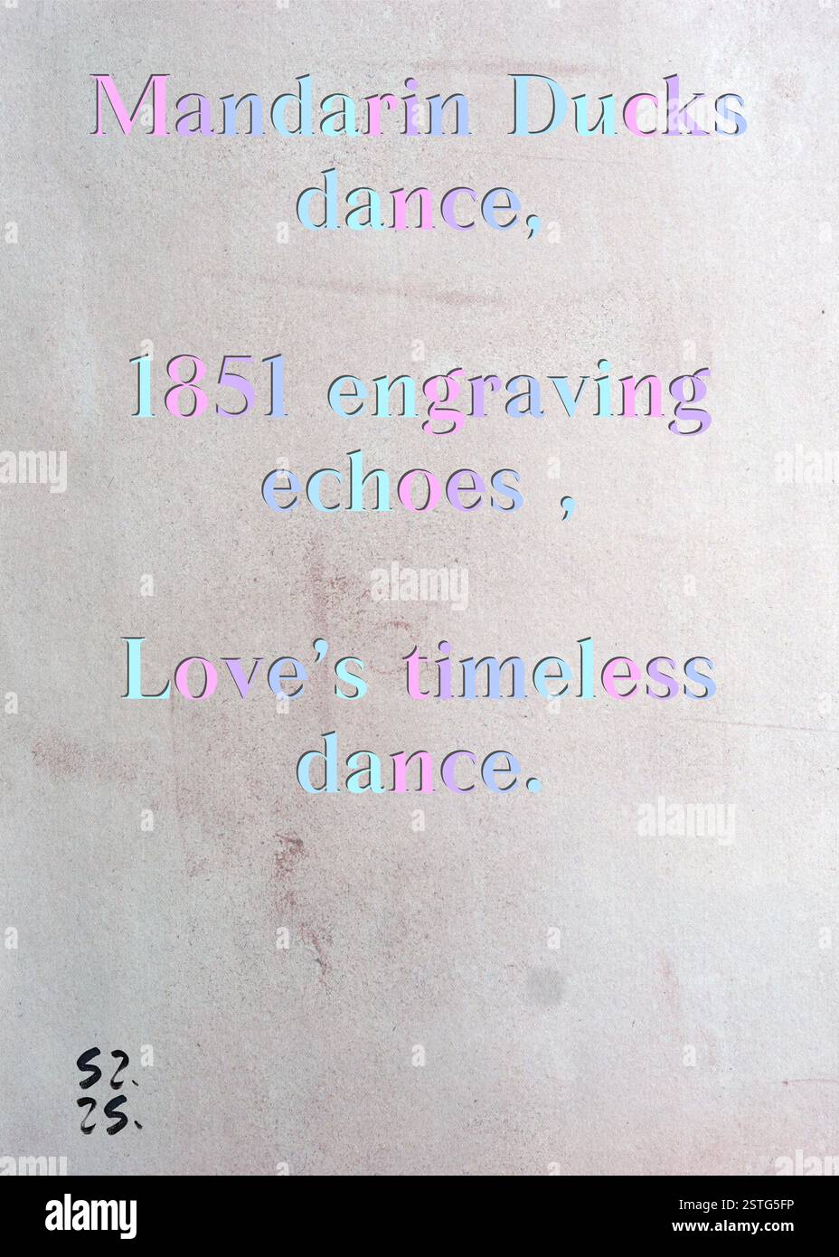 Mandarin Ducks dance, 1851 engraving echoes , Love's timeless dance ...