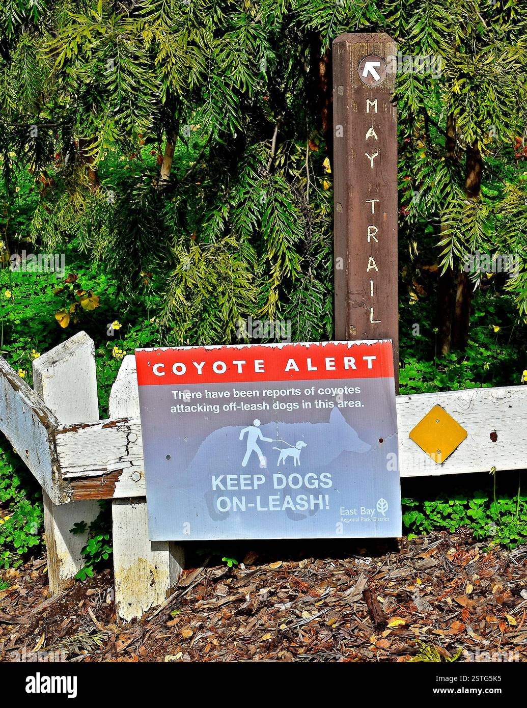 coyote alert, keep dogs on leash warning sign at trail entrance in Dry ...