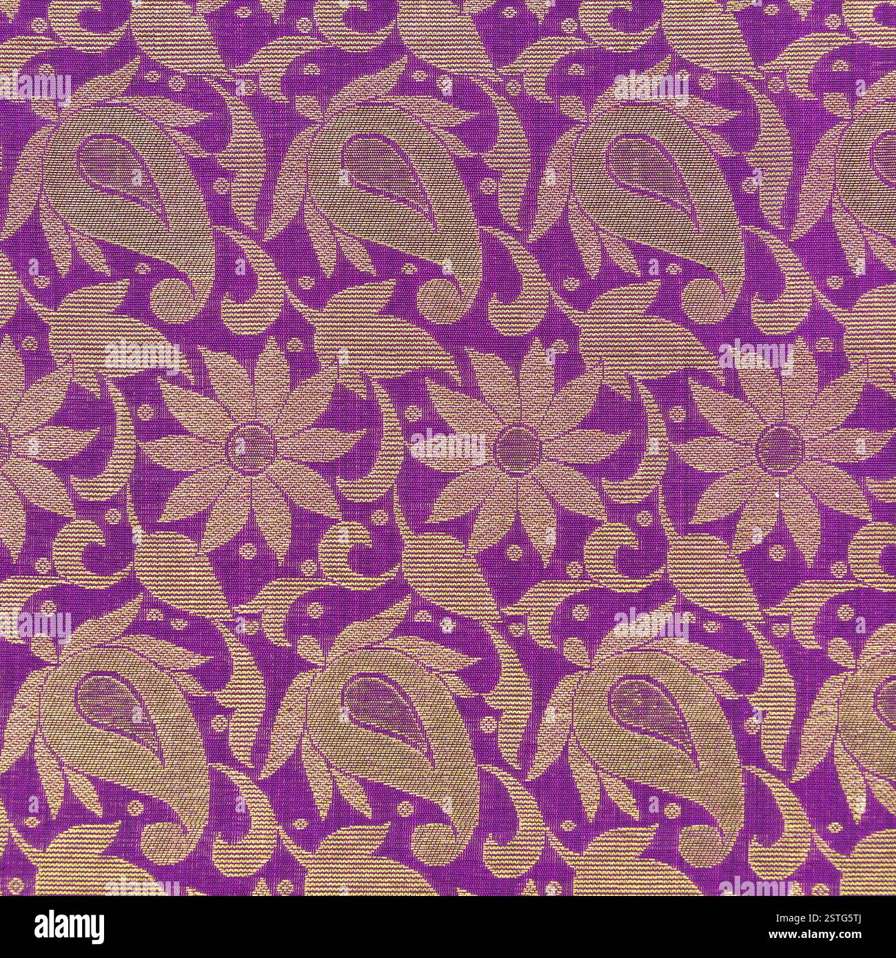 Saree with detail hi-res stock photography and images - Alamy