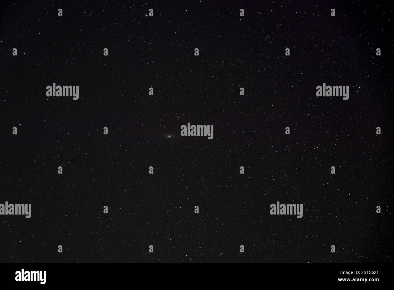 Real natural starry night sky Stock Photo - Alamy