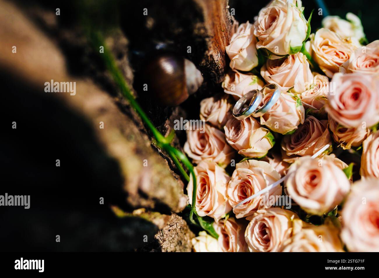 Wedding rings with flower and snail Stock Photo - Alamy