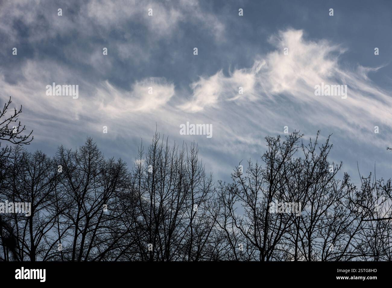 Hohe Eiswolken am Himmel Eiswolken wie die Cirrusarten in Höhen ...