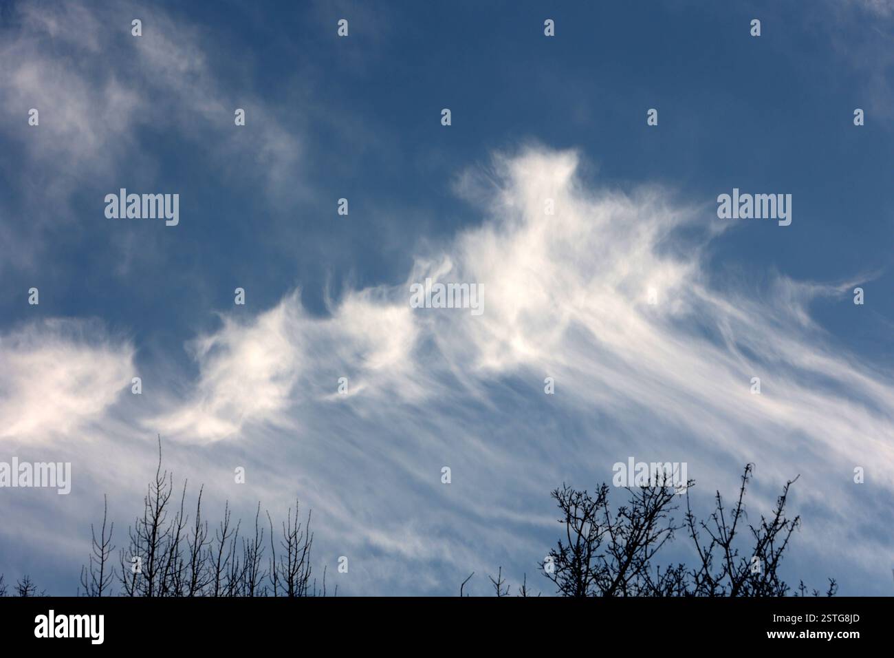 Hohe Eiswolken am Himmel Eiswolken wie die Cirrusarten in Höhen ...