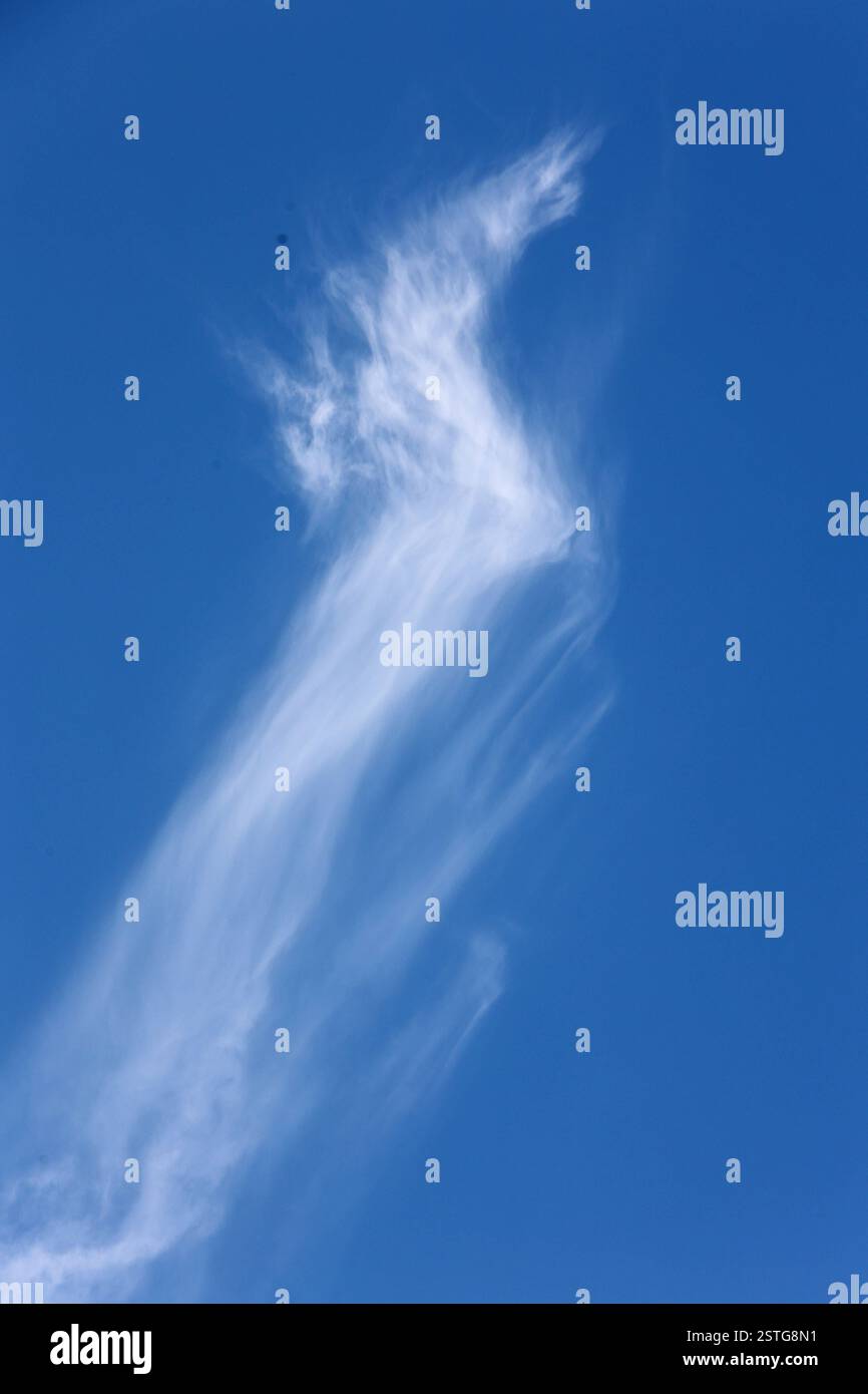 Hohe Eiswolken am Himmel Eiswolken wie die Cirrusarten in Höhen ...