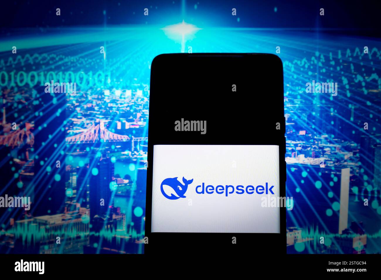 Chongqing, China. 19th Feb, 2025. CHONGQING, CHINA - FEBRUARY 18, 2025 ...