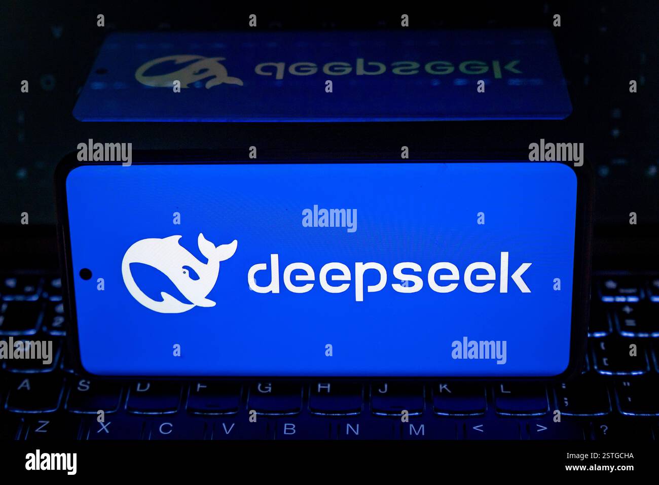 Chongqing, China. 19th Feb, 2025. CHONGQING, CHINA - FEBRUARY 18, 2025 ...