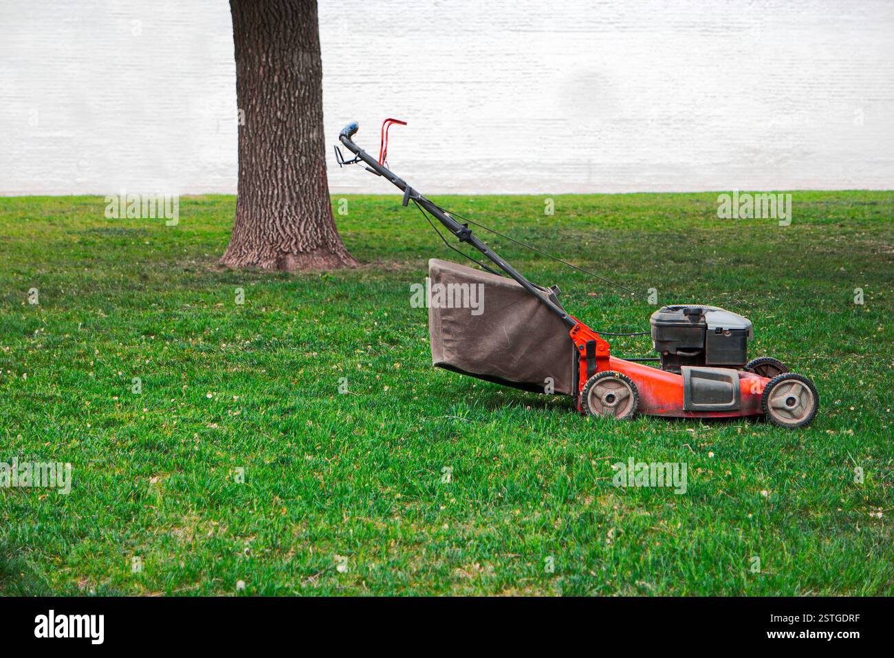 Lawnmower on grass in the garden, tree and white wall on background, a ...