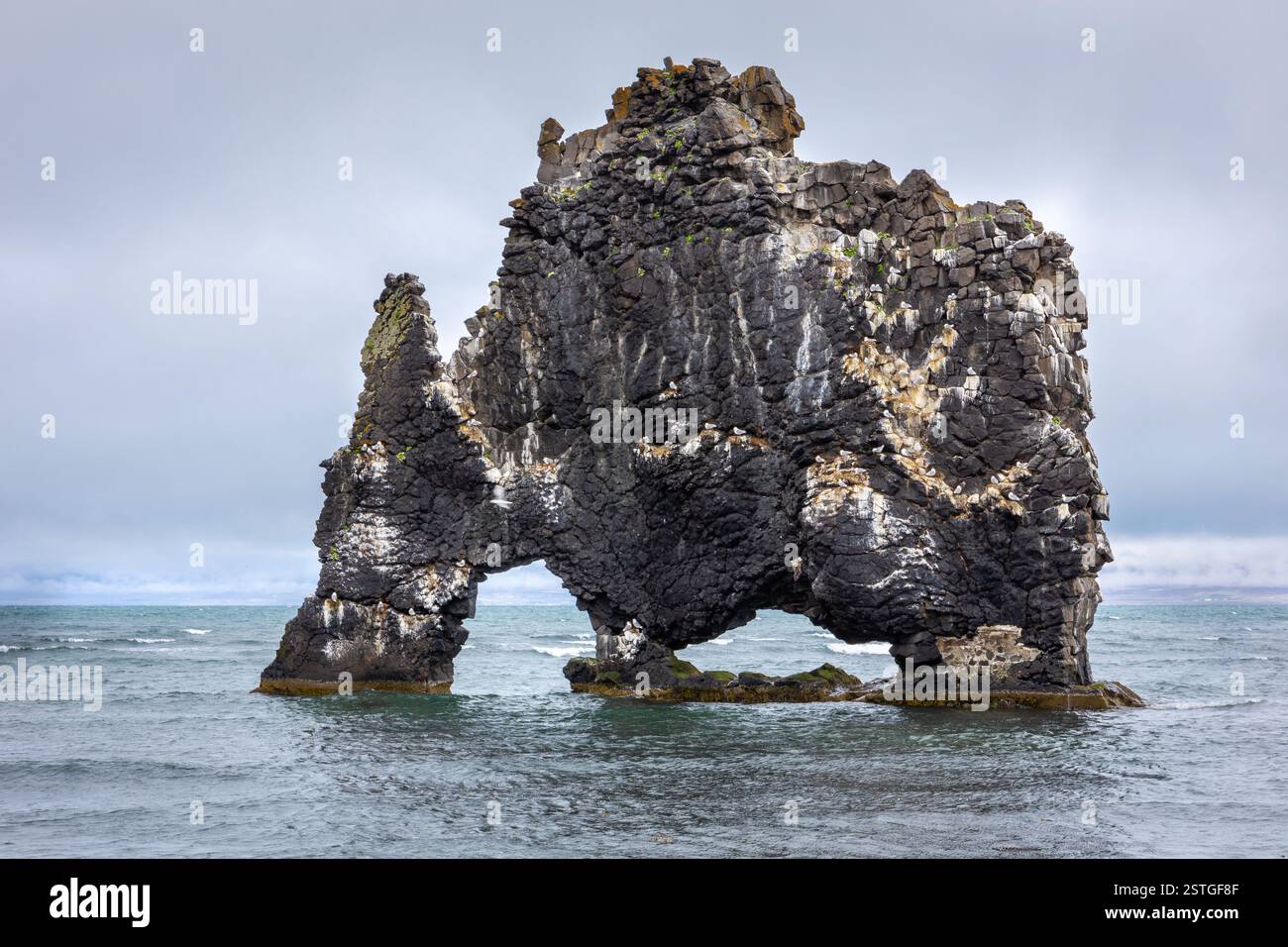 Hvitserkur (Troll of Northwest Iceland), basalt rock stack protruding ...