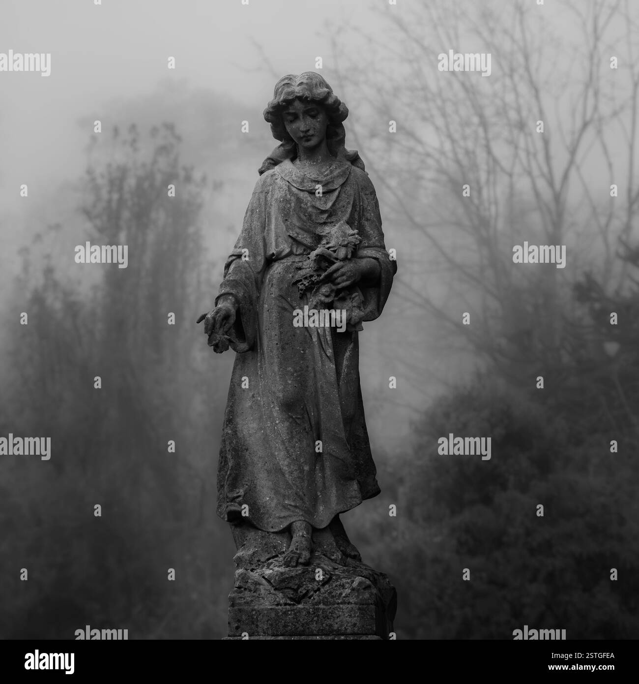 A statue of a woman in a misty winter graveyard Stock Photo - Alamy