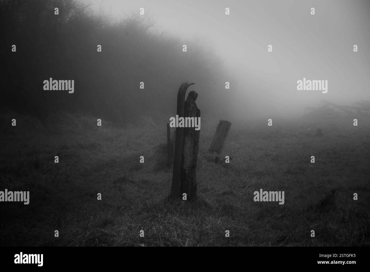 Rotten away Black and White Stock Photos & Images - Alamy