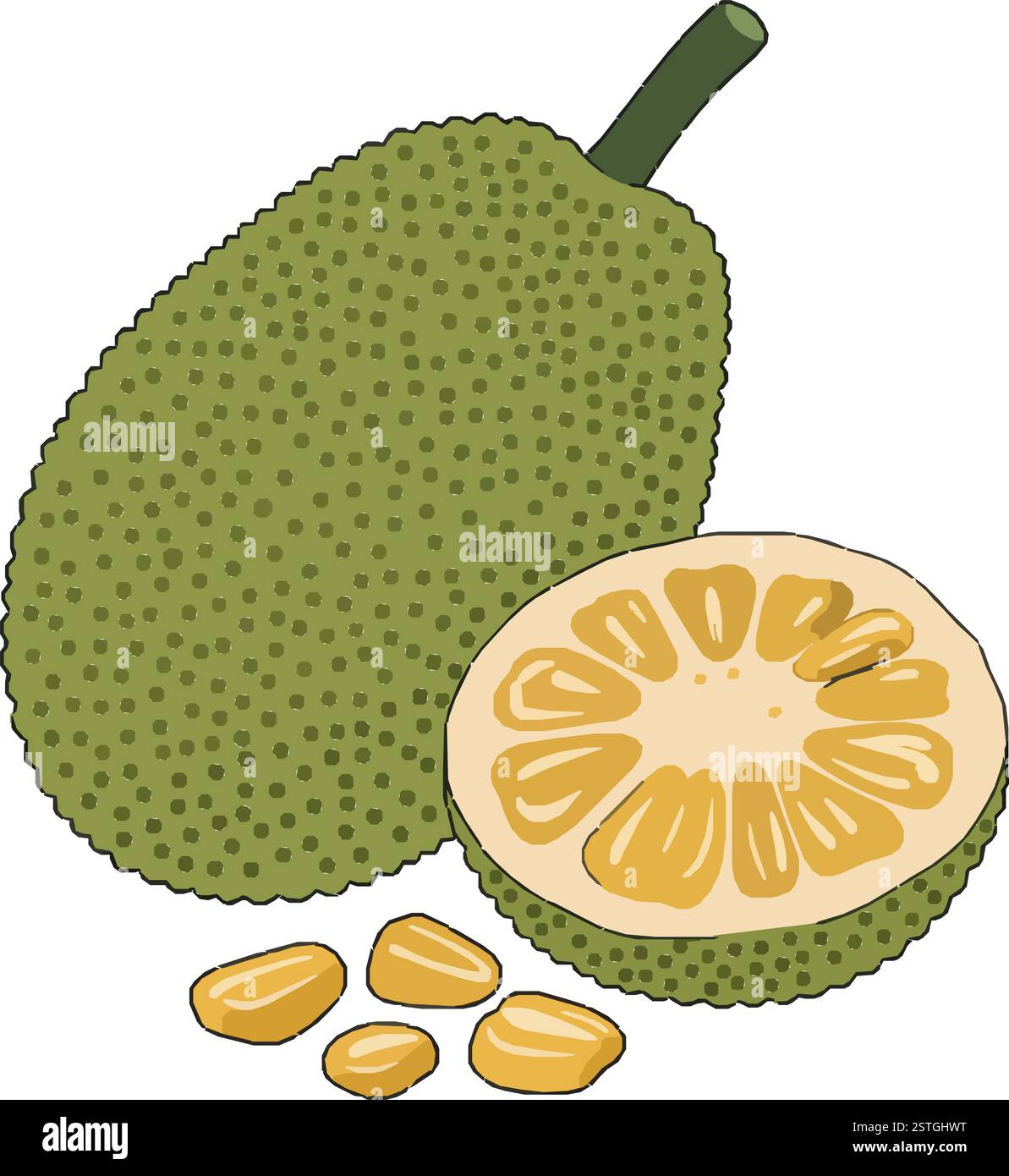 Jackfruit Whole and Sliced – Exotic Tropical Superfood, Sweet Golden ...