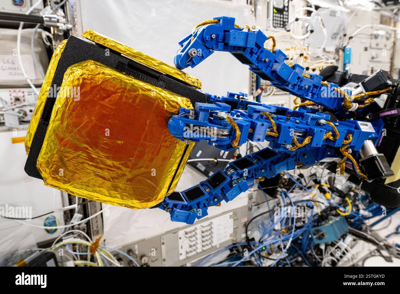 Silicon Valley, California, USA. 4th Feb, 2025. Blue tentacle-like arms ...