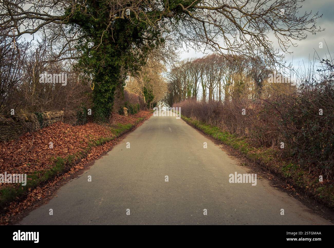 Long narrow rural road hi-res stock photography and images - Alamy