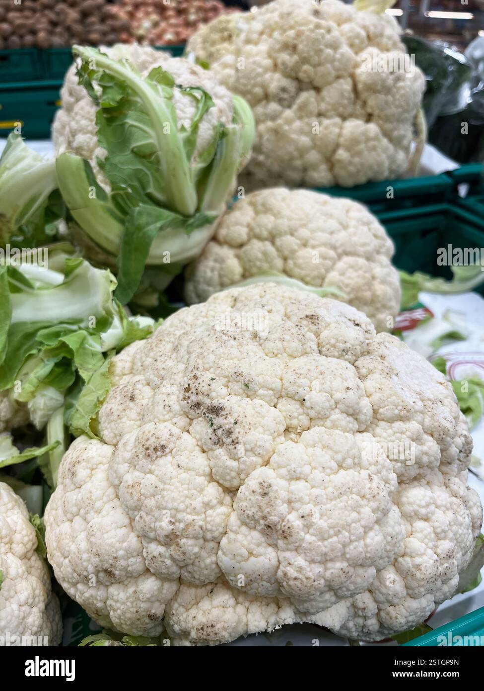 Raw cauliflowers (Turkish: Karnabahar) on a supermarket counter Stock ...