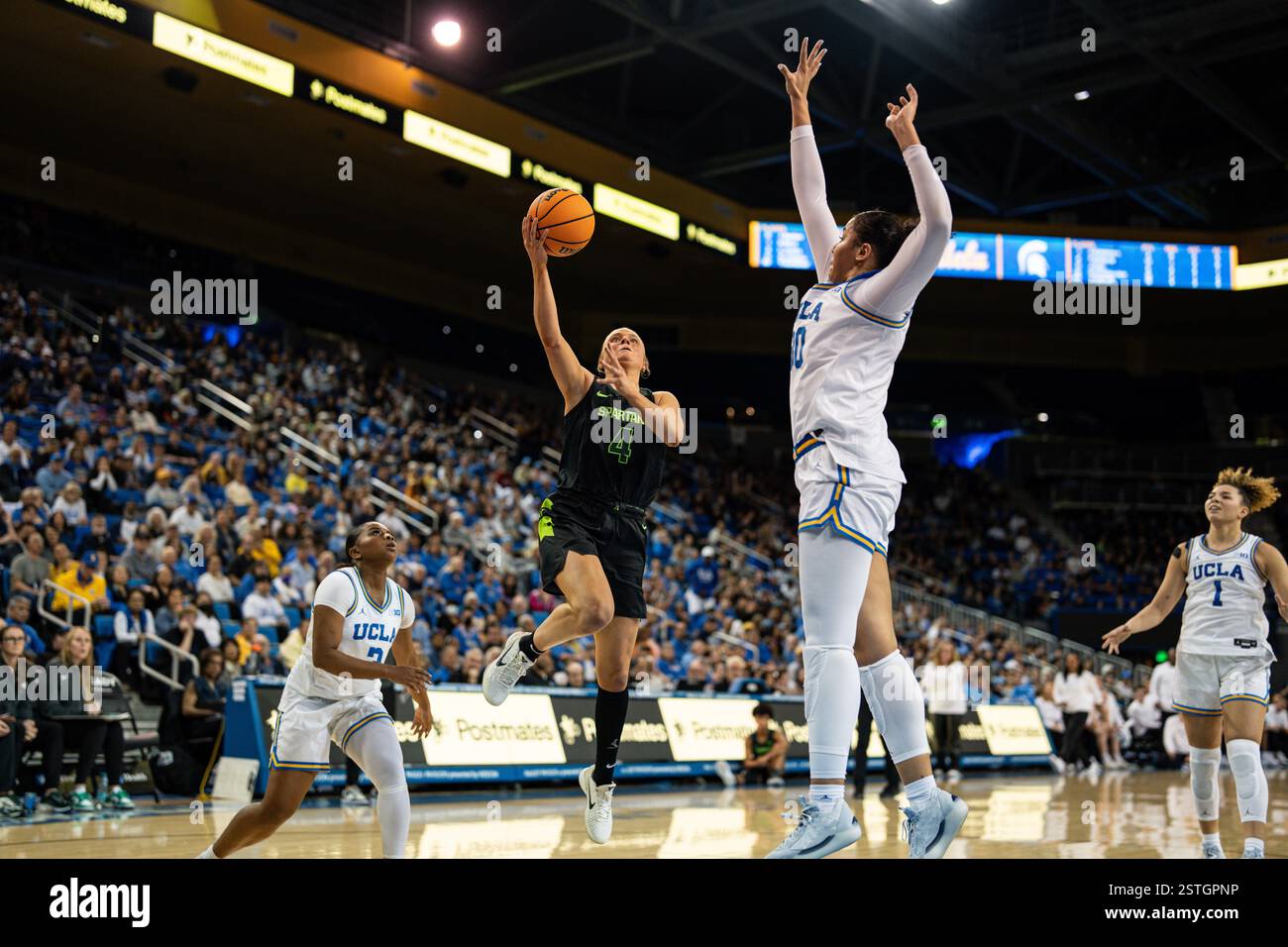 Westwood, United States. 16th Feb, 2025. Michigan State Spartans guard ...