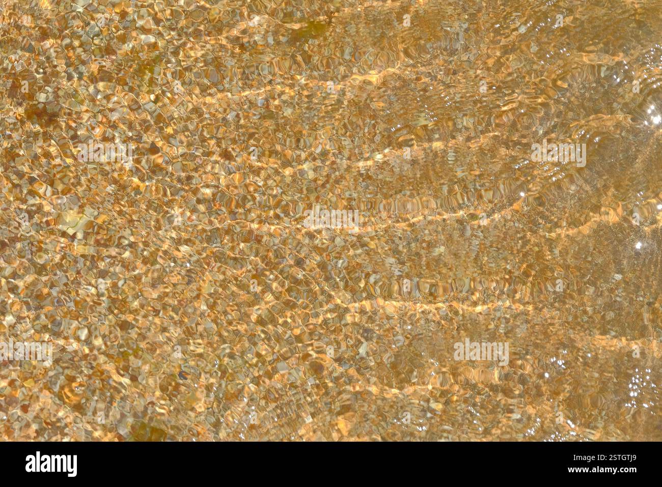 Calm transparent sea water over sandy bottom ripples background Stock ...