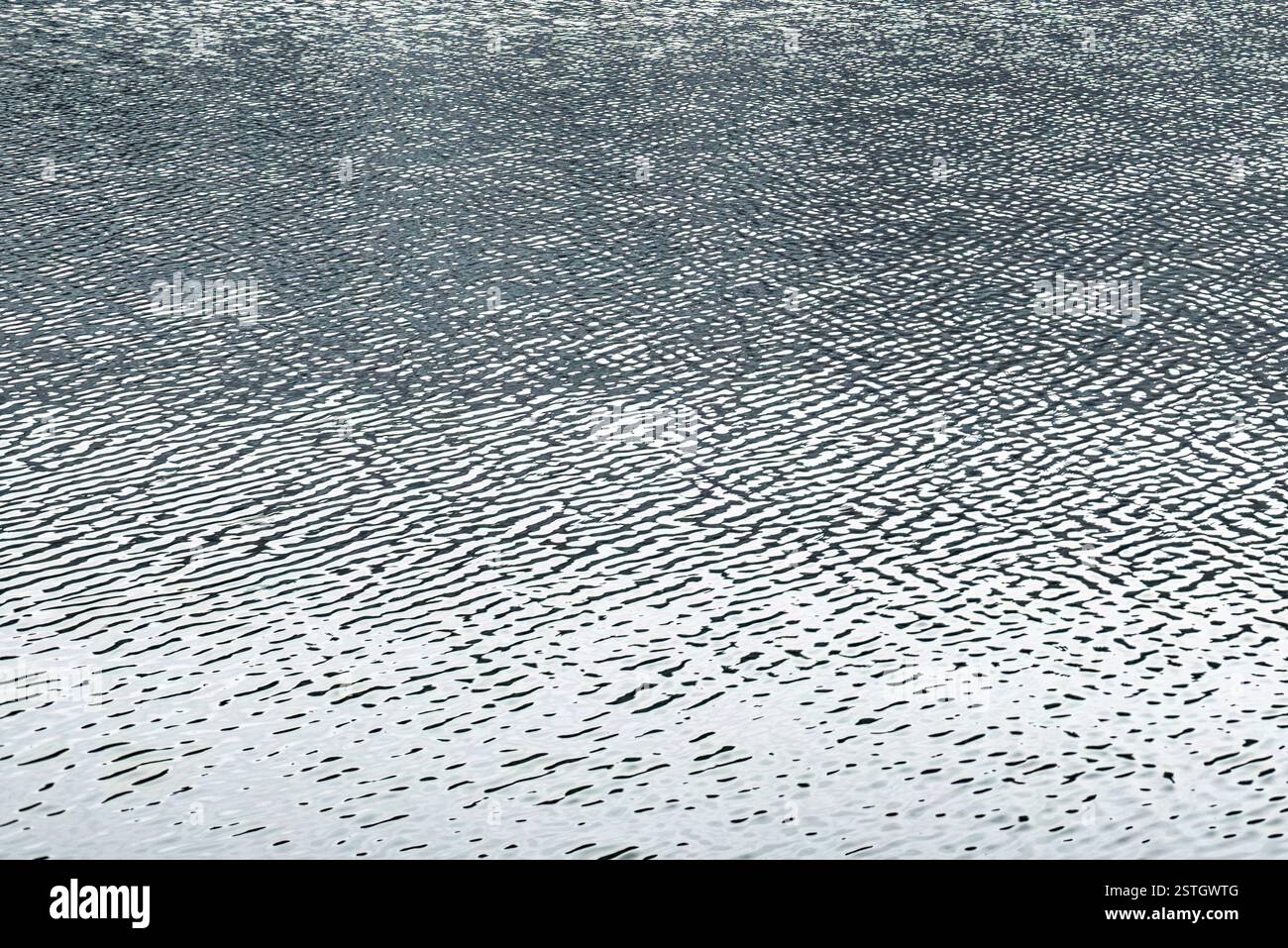 Abstract Water Surface With Rippling Patterns Reflecting Light Minimalist Nature Texture With