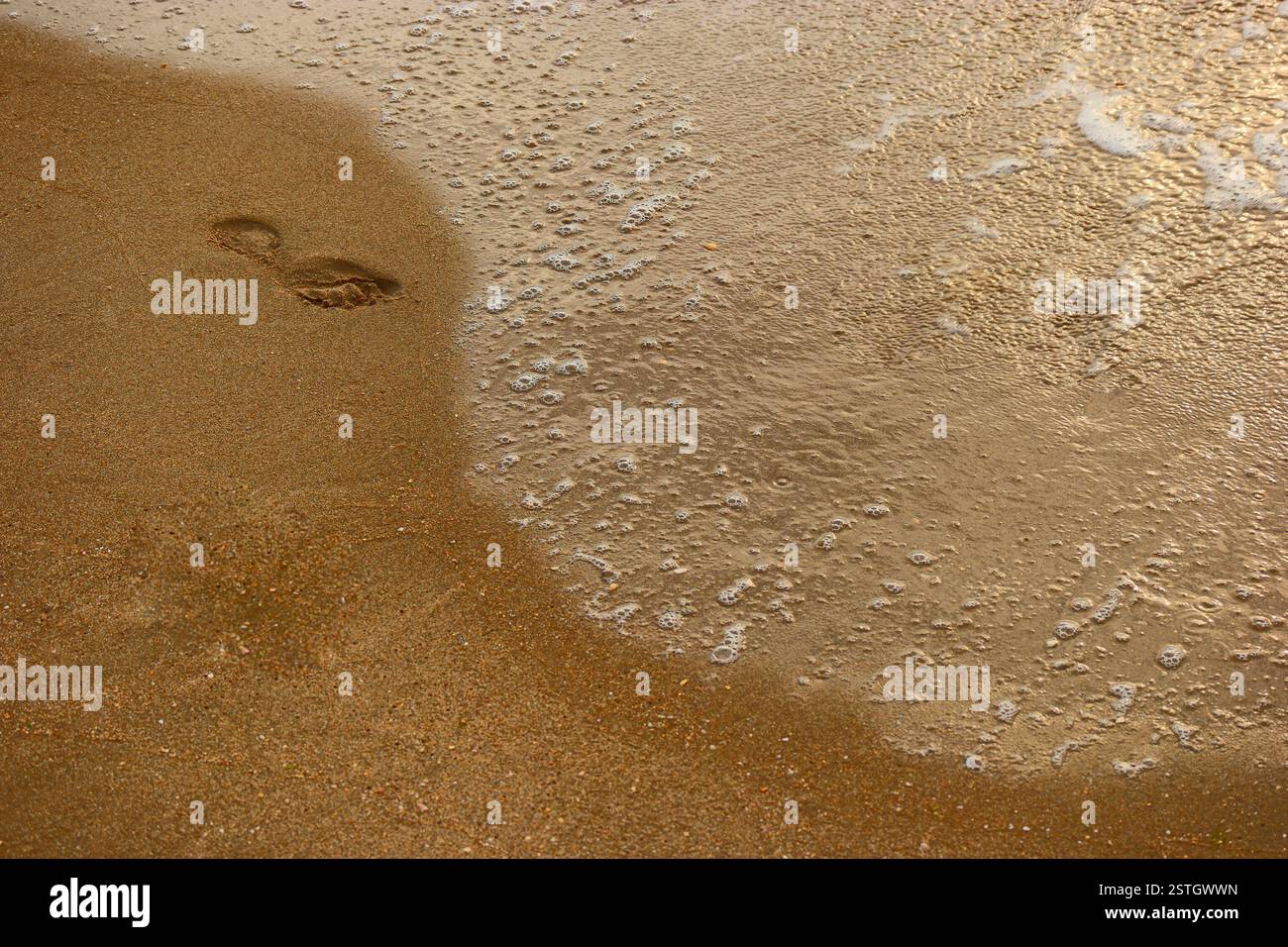 Lonely footstep on sandy beach and place for text, top view Stock Photo ...