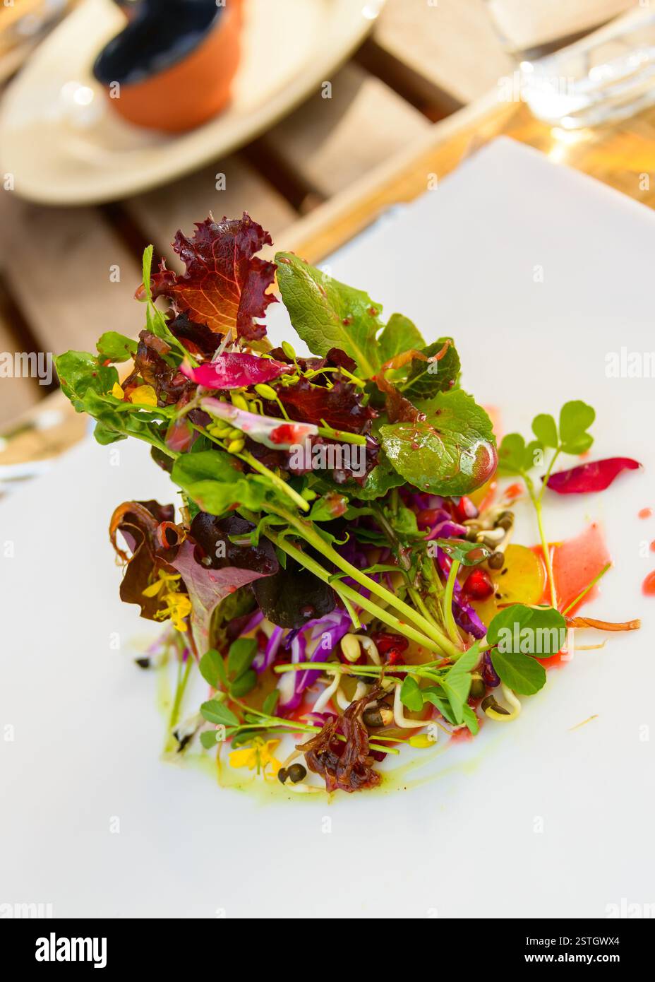 Fancy salad in glass hi-res stock photography and images - Alamy