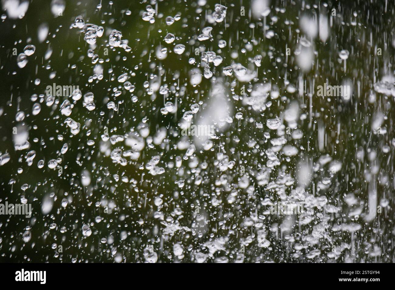 Levitation on green nature background water drops Stock Photo - Alamy