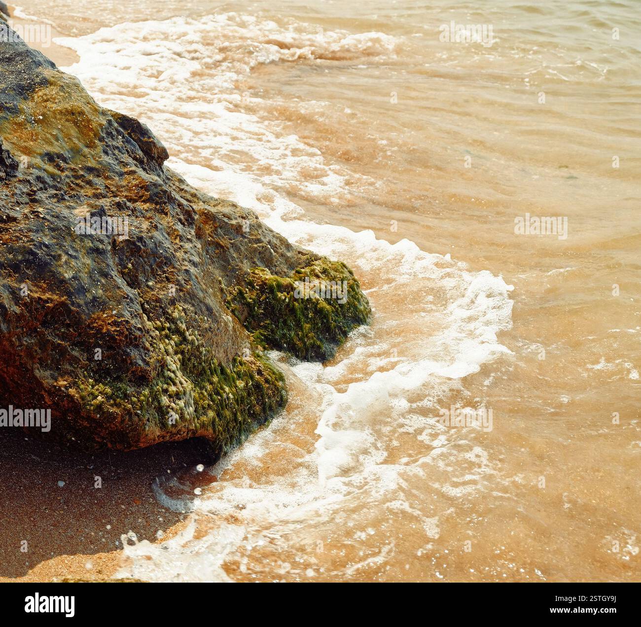 Sea square hi-res stock photography and images - Alamy