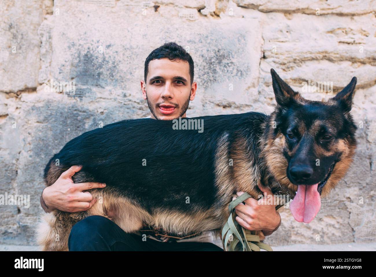 Man dog posing on street hi-res stock photography and images - Alamy