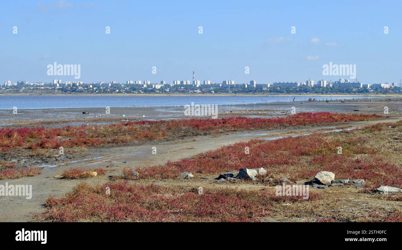 Dry dead lake with a rare wonder nature Stock Photo - Alamy