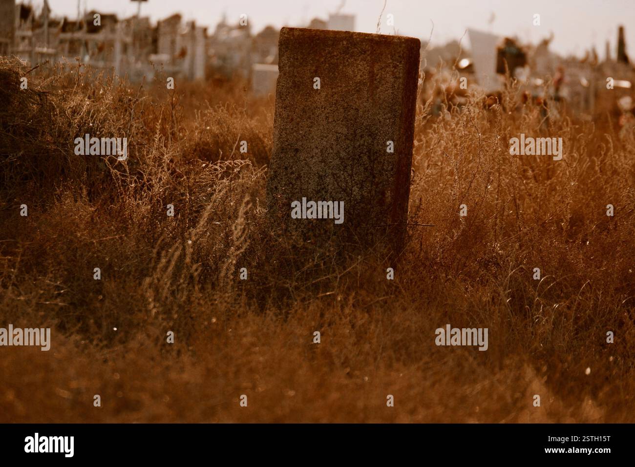 Ancient tombstone in dry grass at muslim cemetery in Astrakhan Russia ...