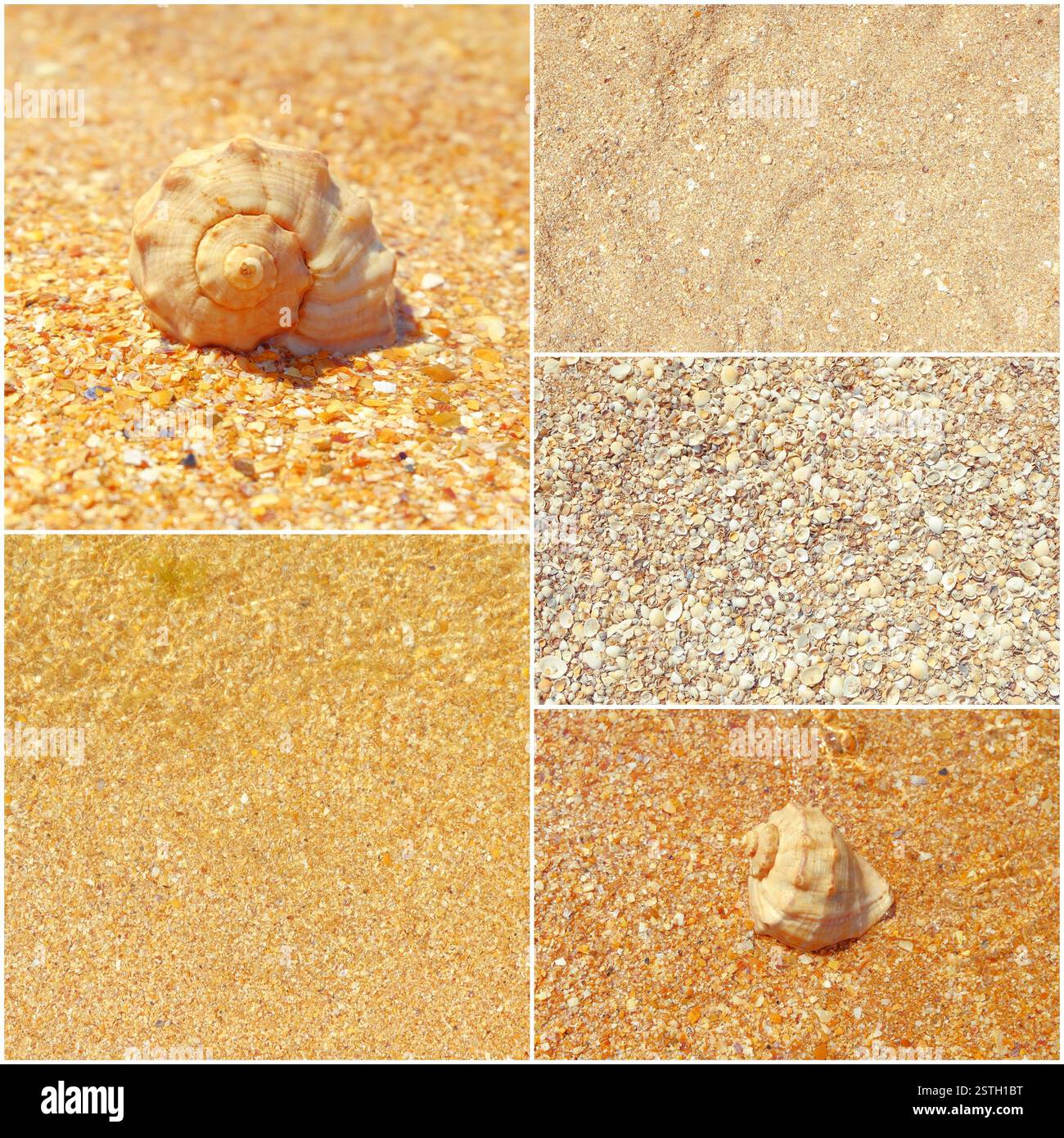 Collage of summer sea photos, seashells on sand, set of toned images ...