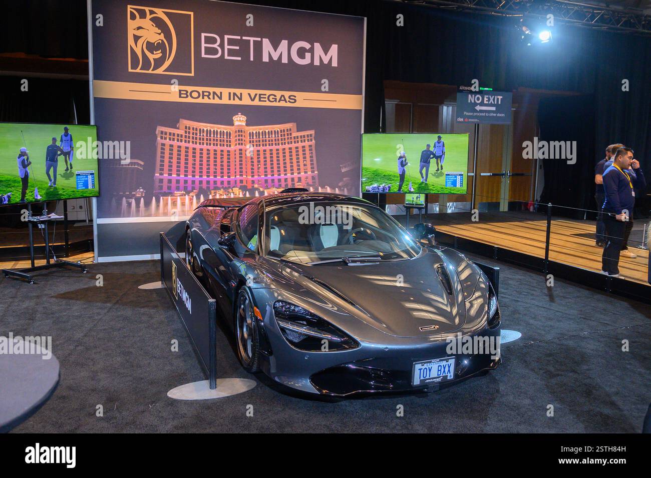 Toronto, ON, Canada - February 14, 2025: McLaren presented at Auto ...