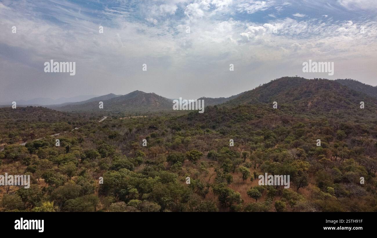 Trees cover Senegal's Niokolo Koba National Park on Thursday, Jan. 16 ...