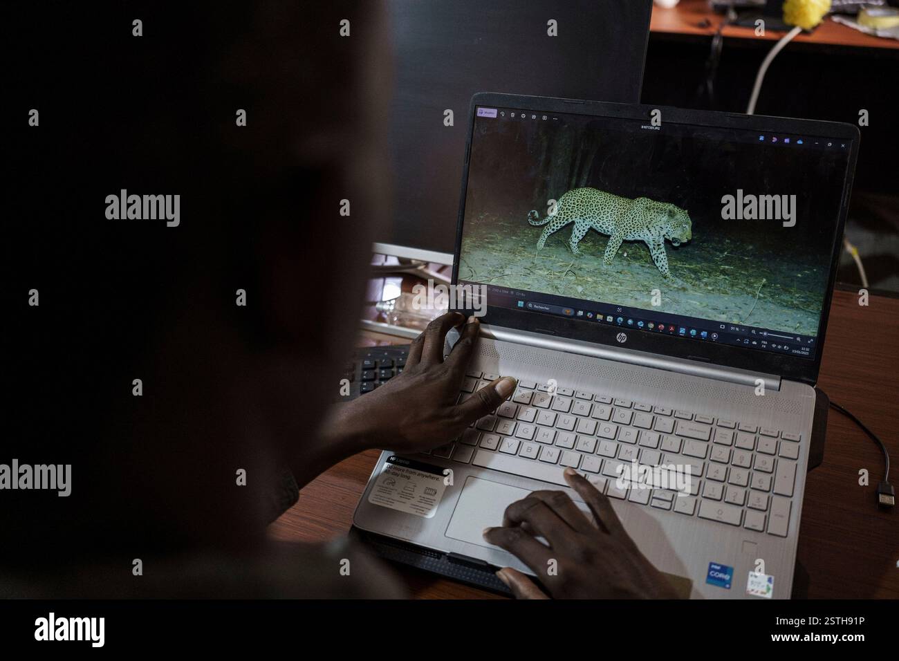 Mouhamadou Ndiaye, coordinator for wild cat conservation group Panthera ...