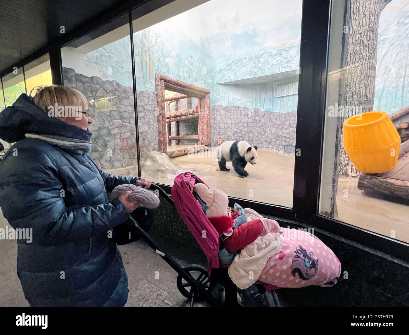 Moscow, Russia.18th February 2025. Visitors watch giant pandas at ...