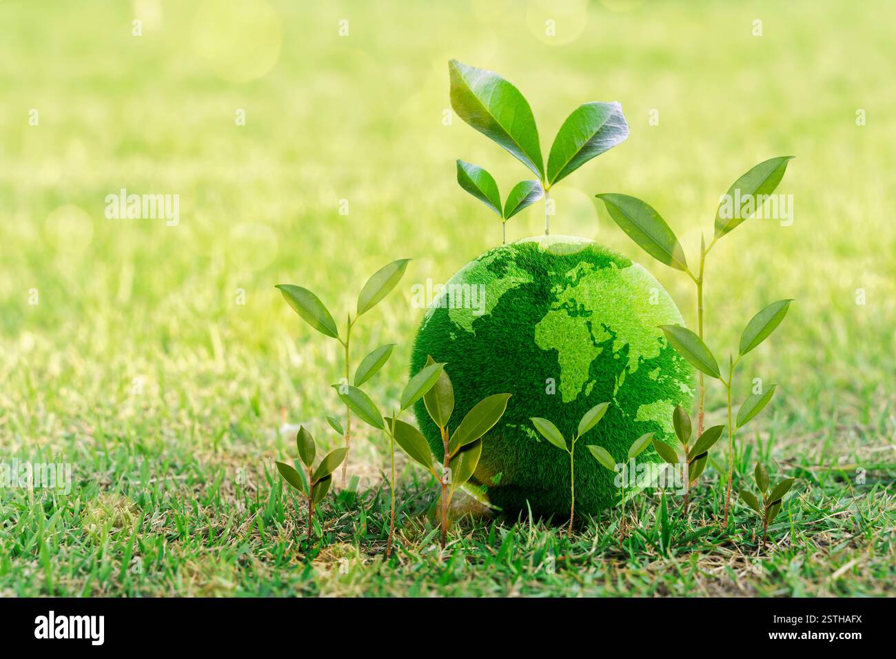 Earth day 2025 holiday concept. A green globe is surrounded by green ...