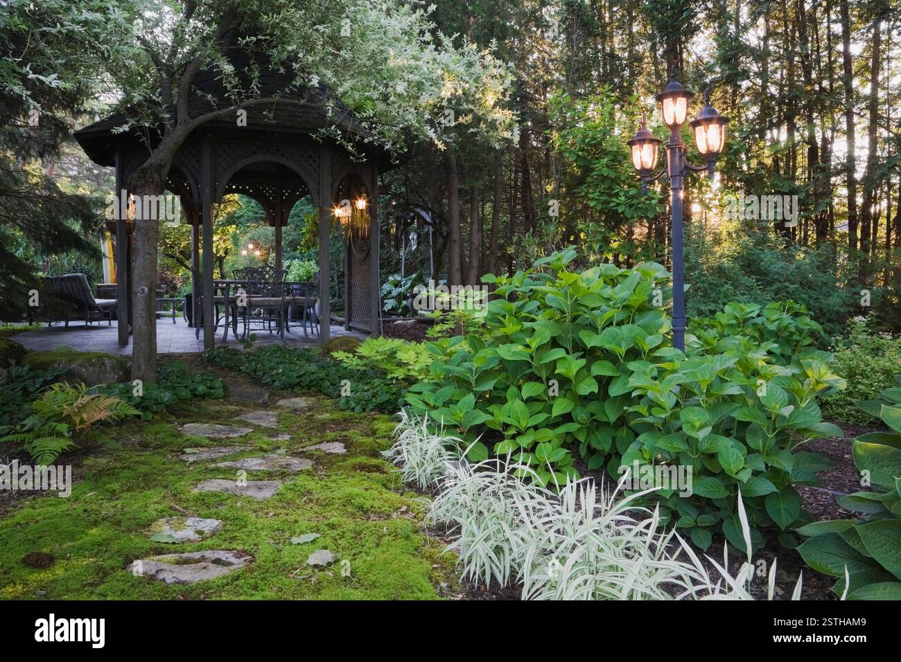 Border with Chasmanthium latifolium ‘River Mist’ perennial grass plants ...