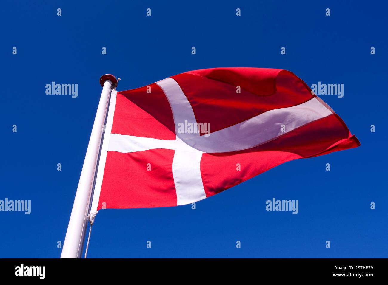 Flags: The Danish national flag "Danebrog" is fluttering in the gusty coastal wind Stock Photo ...
