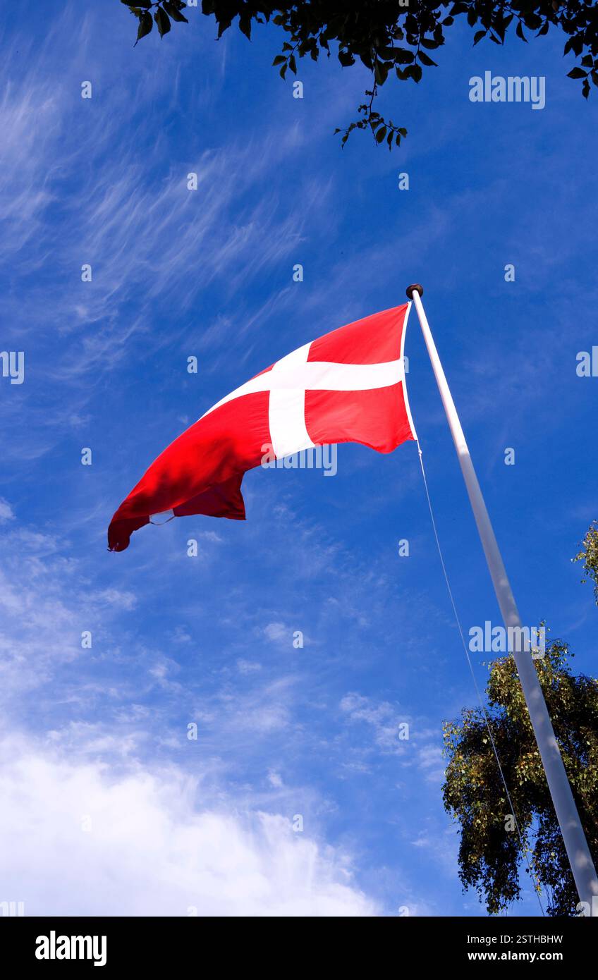 Flags: The Danish national flag "Danebrog" is fluttering in the gusty coastal wind Stock Photo ...