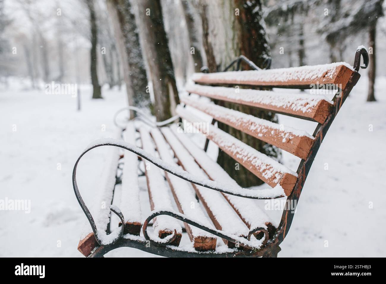 Ornate wooden bench hi-res stock photography and images - Alamy