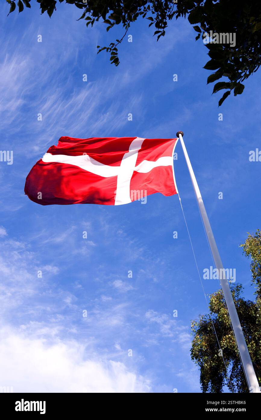Flags: The Danish national flag "Danebrog" is fluttering in the gusty coastal wind Stock Photo ...