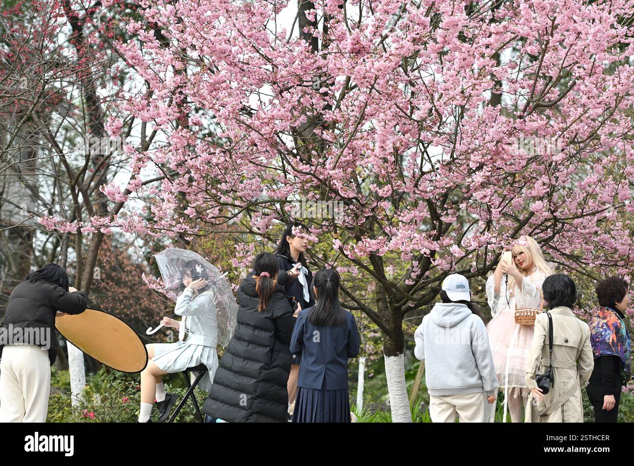 Chongqing,China.18th February 2025. Visitors pose for photos with ...