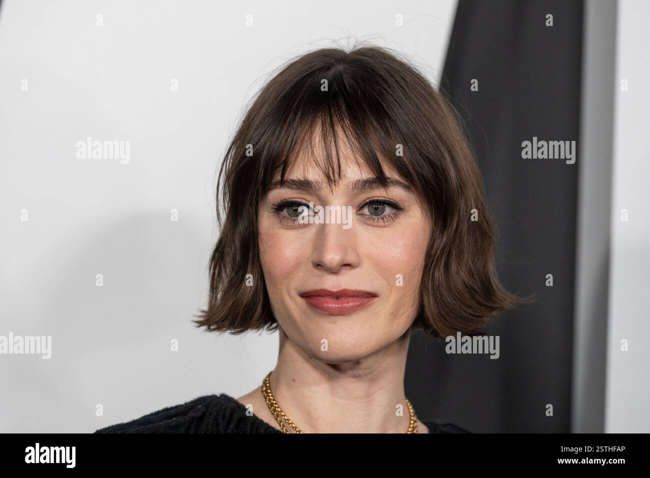 New York, United States. 19th Feb, 2025. Lizzy Caplan wearing dress by ...
