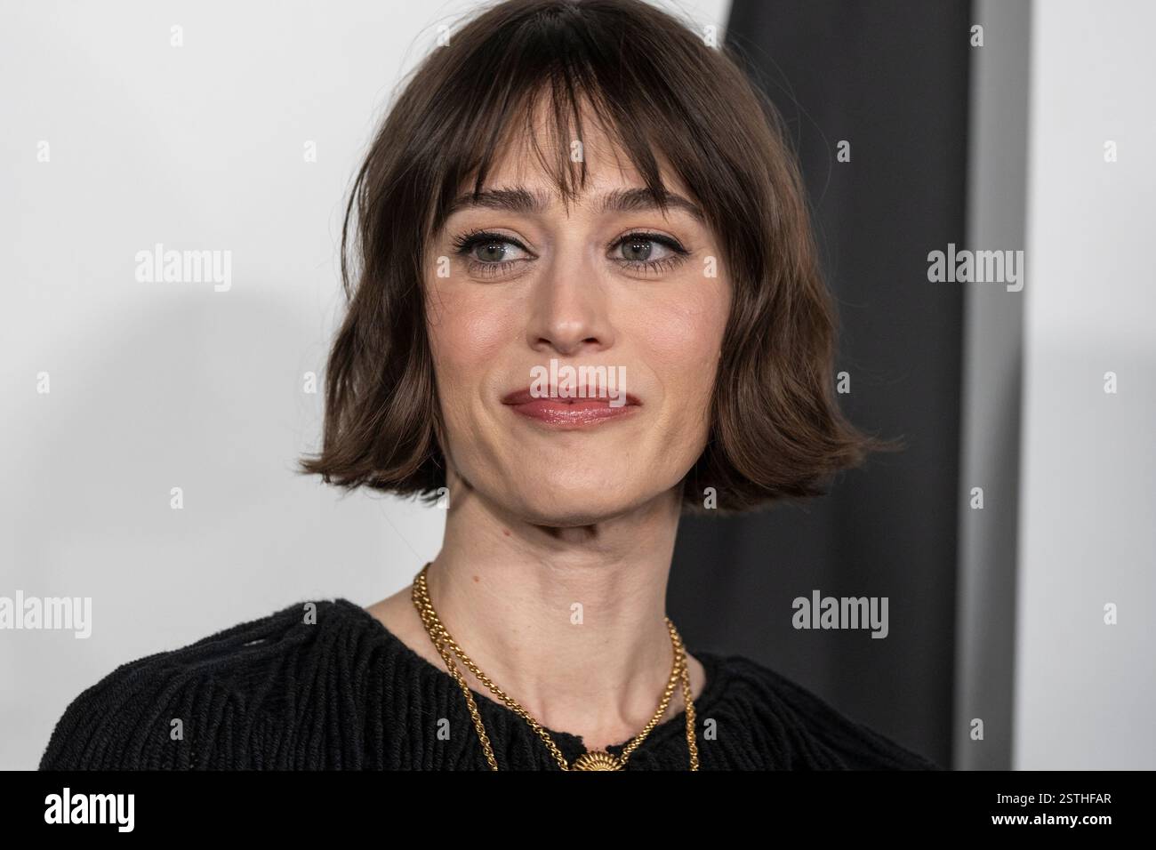 New York, United States. 19th Feb, 2025. Lizzy Caplan wearing dress by ...