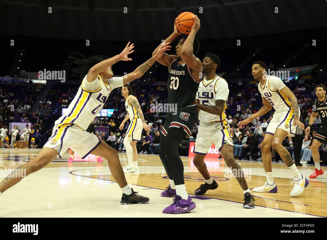 Baton Rouge, United States. 18th Feb, 2025. South Carolina Gamecocks ...