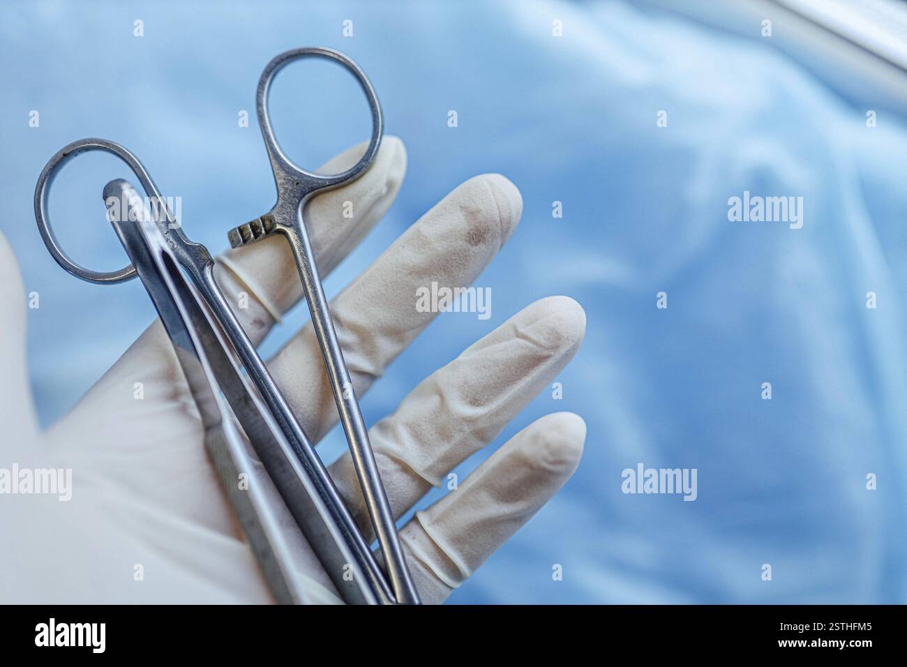Gloved hand holding forceps with a blue background, indicating surgery ...