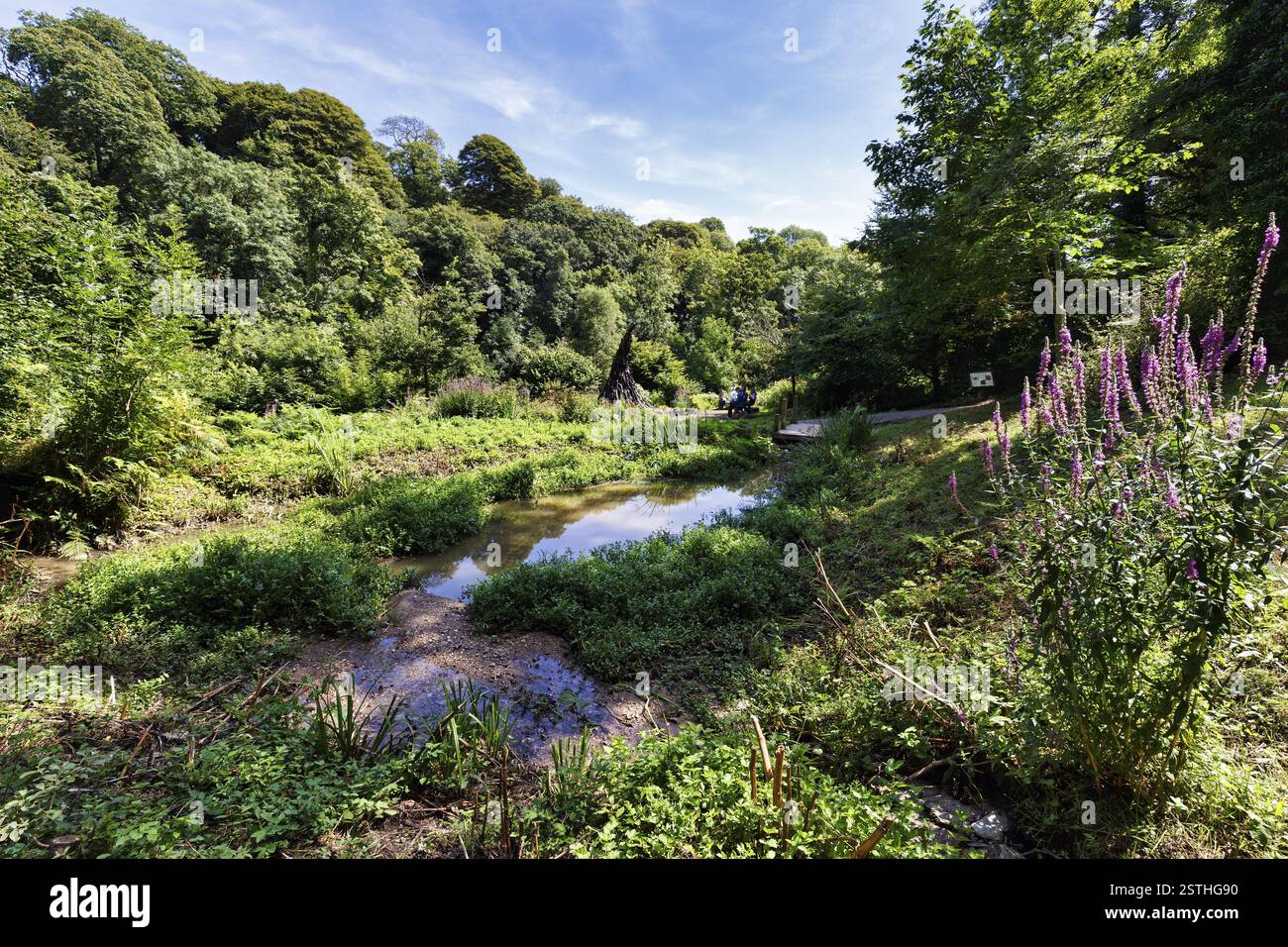 Lost Gardens of Heligan, Cornwall, England, Great Britain Stock Photo ...