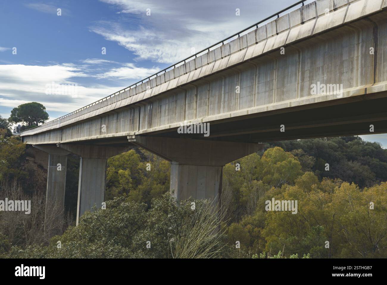 Concrete viaduct over a forest with a blue sky with clouds Stock Photo ...