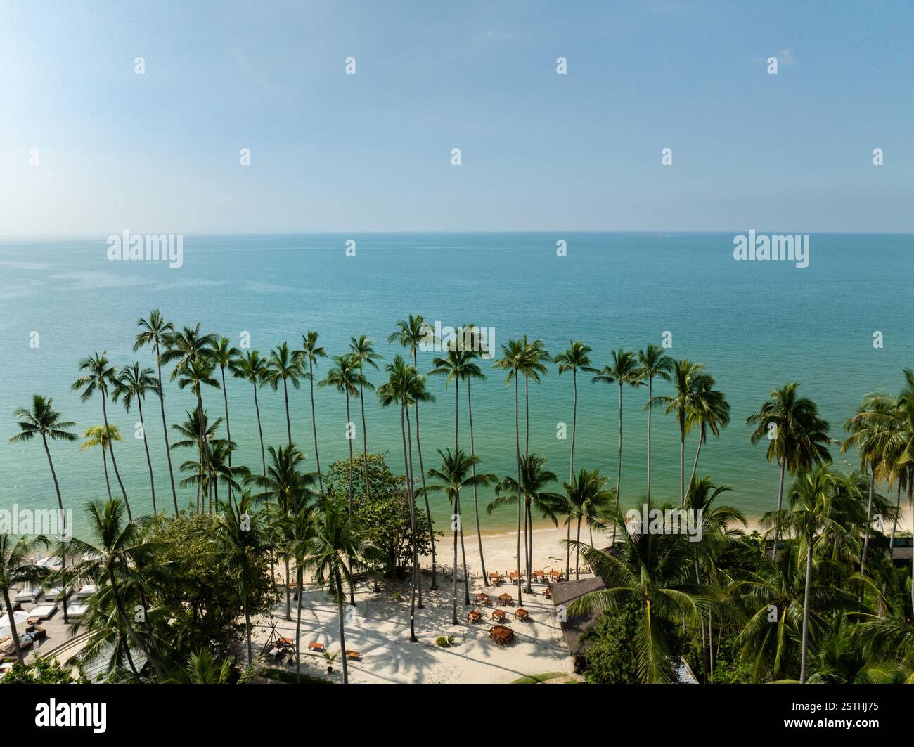 Tall palm trees lined along a sandy beachfront with calm blue sea under ...