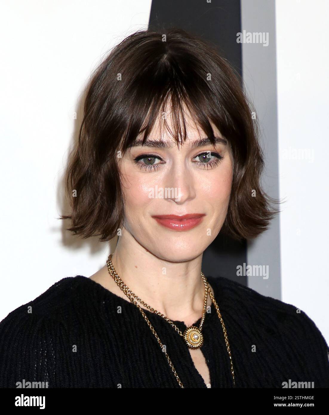 New York City, USA. 18th Feb, 2025. Lizzy Caplan attending Netflix's ...